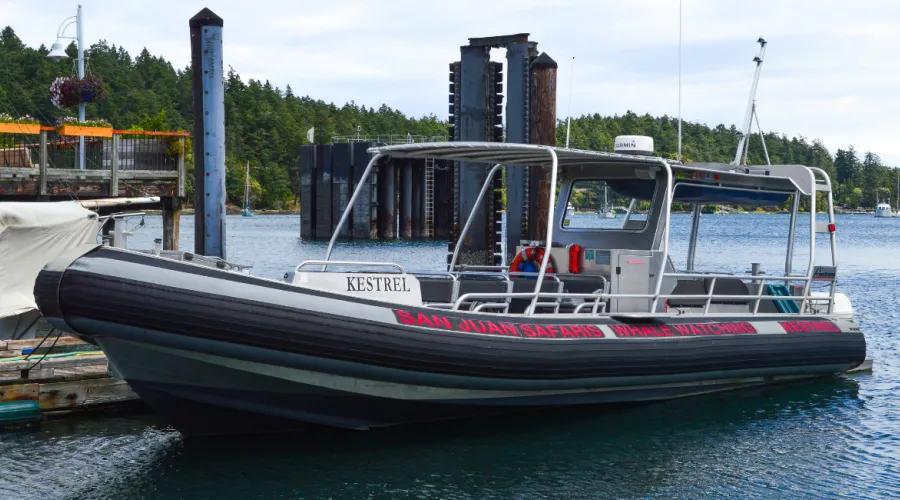 Vessels | San Juan Island Whale Watching Tours